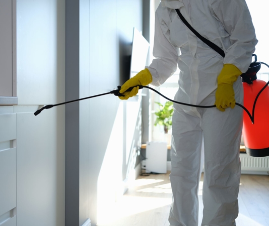 August 2023 Blogs | Hoffer Pest Solutions