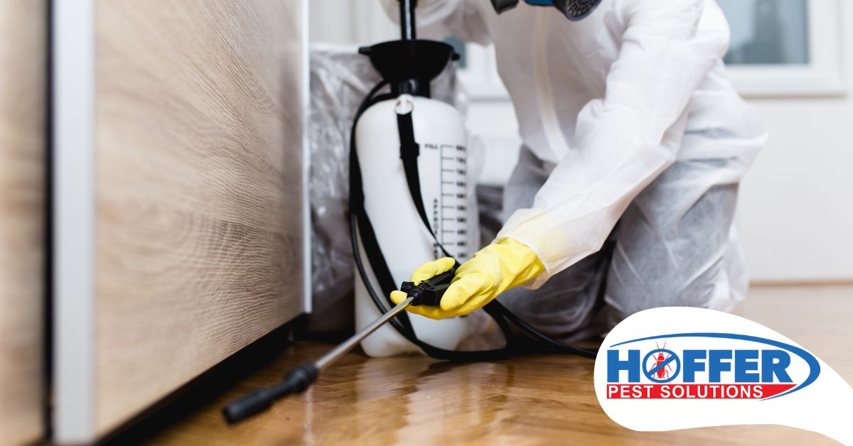 Pest-Proof Your Home This Spring