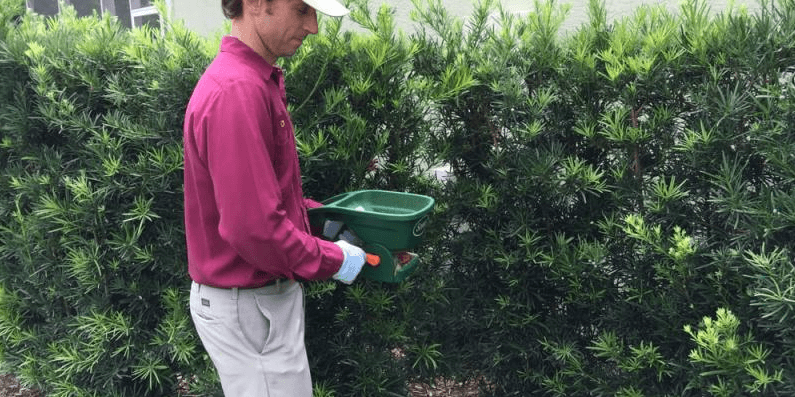 Florida Lawn Pests: Identification, Treatment & Prevention